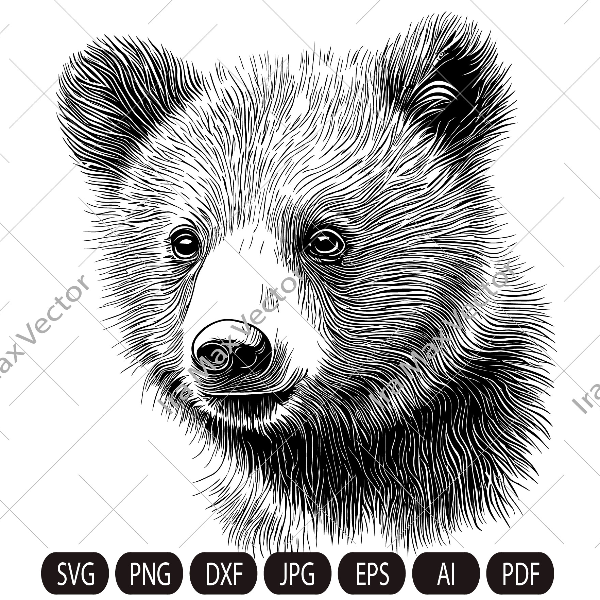 Baby bear svg, Bear cub face svg, Little bear, Nursery Decor | Inspire ...