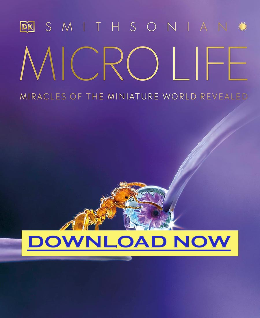 Micro Life Miracles of the Miniature World Revealed | Inspire Uplift