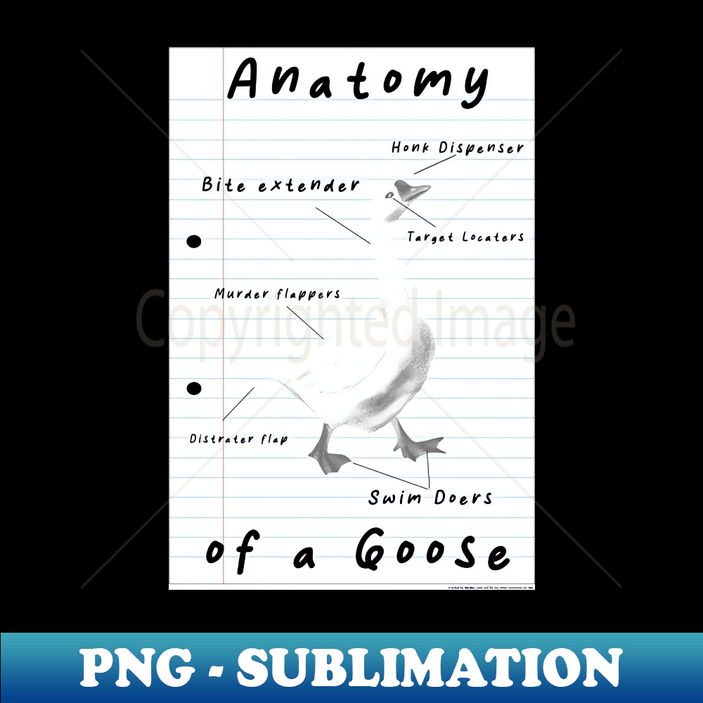 Anatomy of a Goose - Professional Sublimation Digital Downlo | Inspire ...