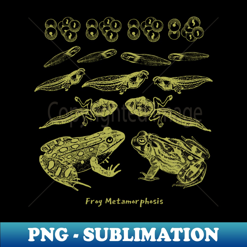 Frog Metamorphosis The Tale of Frog-Inspired Transformations | Inspire ...