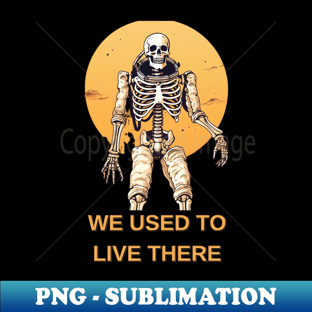 We Used To Live There Skeleton Astronaut - Aesthetic Sublim | Inspire ...