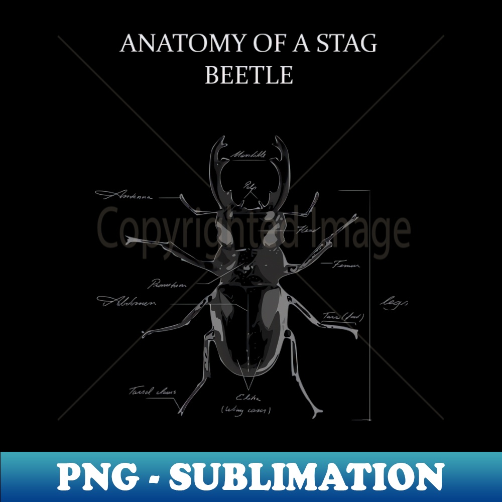 Stag Beetle Anatomy - Elegant Sublimation PNG Download - Enh | Inspire ...