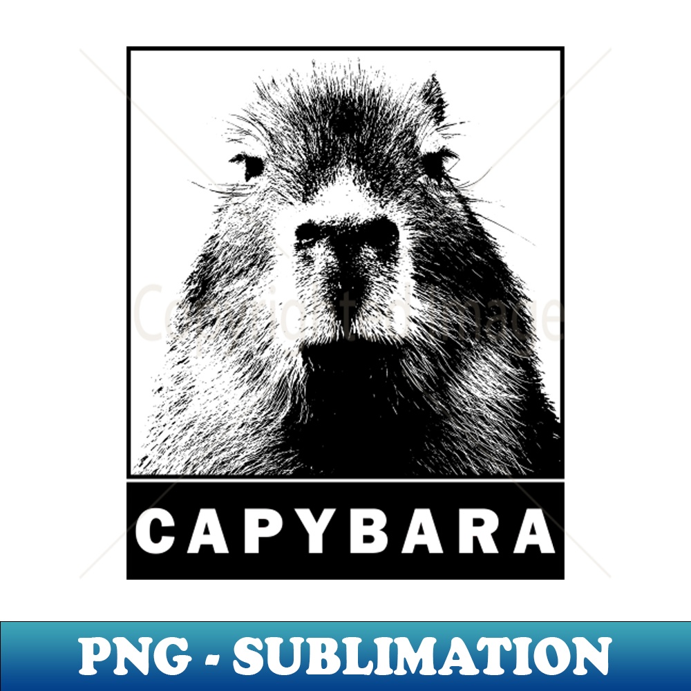 Capybaras Silhouette - High-Quality PNG Sublimation Download | Inspire ...