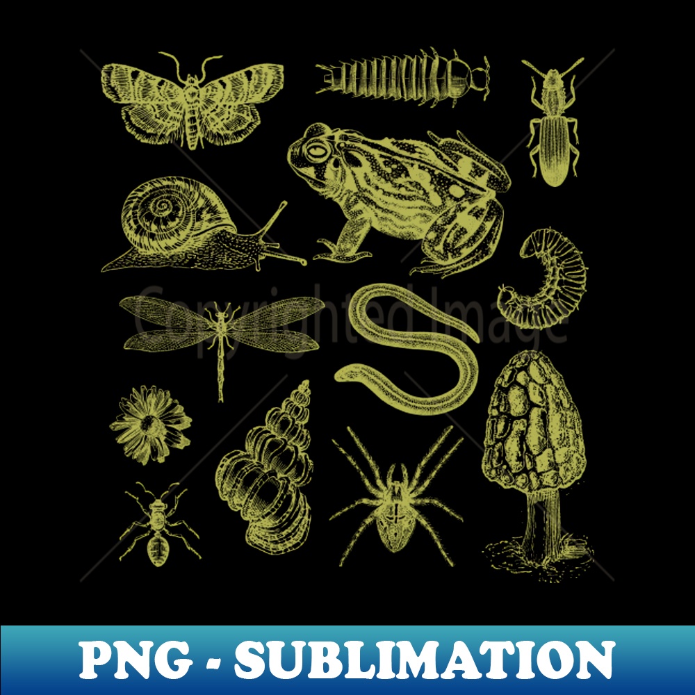 Vintage Biology Goblincore Nature Aesthetic Collection of Fr | Inspire ...