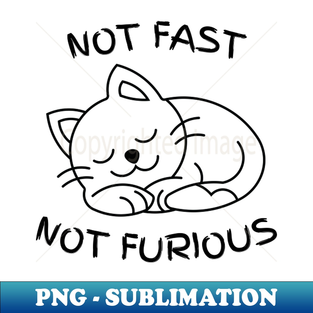 Not Fast Not Furious - Premium Sublimation Digital Download | Inspire ...