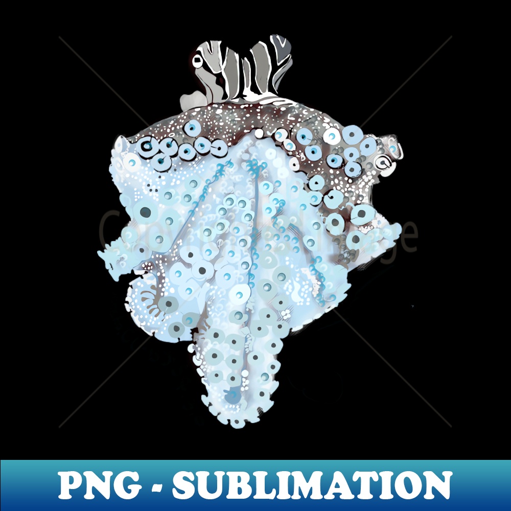 Larger Pacific Striped Octopus With Flair - Special Edition | Inspire ...