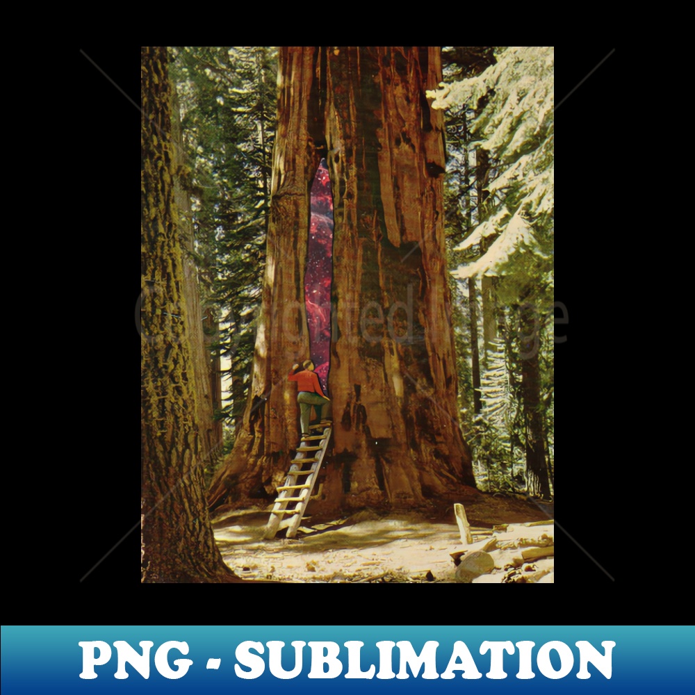 Brecha temporal - Elegant Sublimation PNG Download - Transfo - Inspire ...