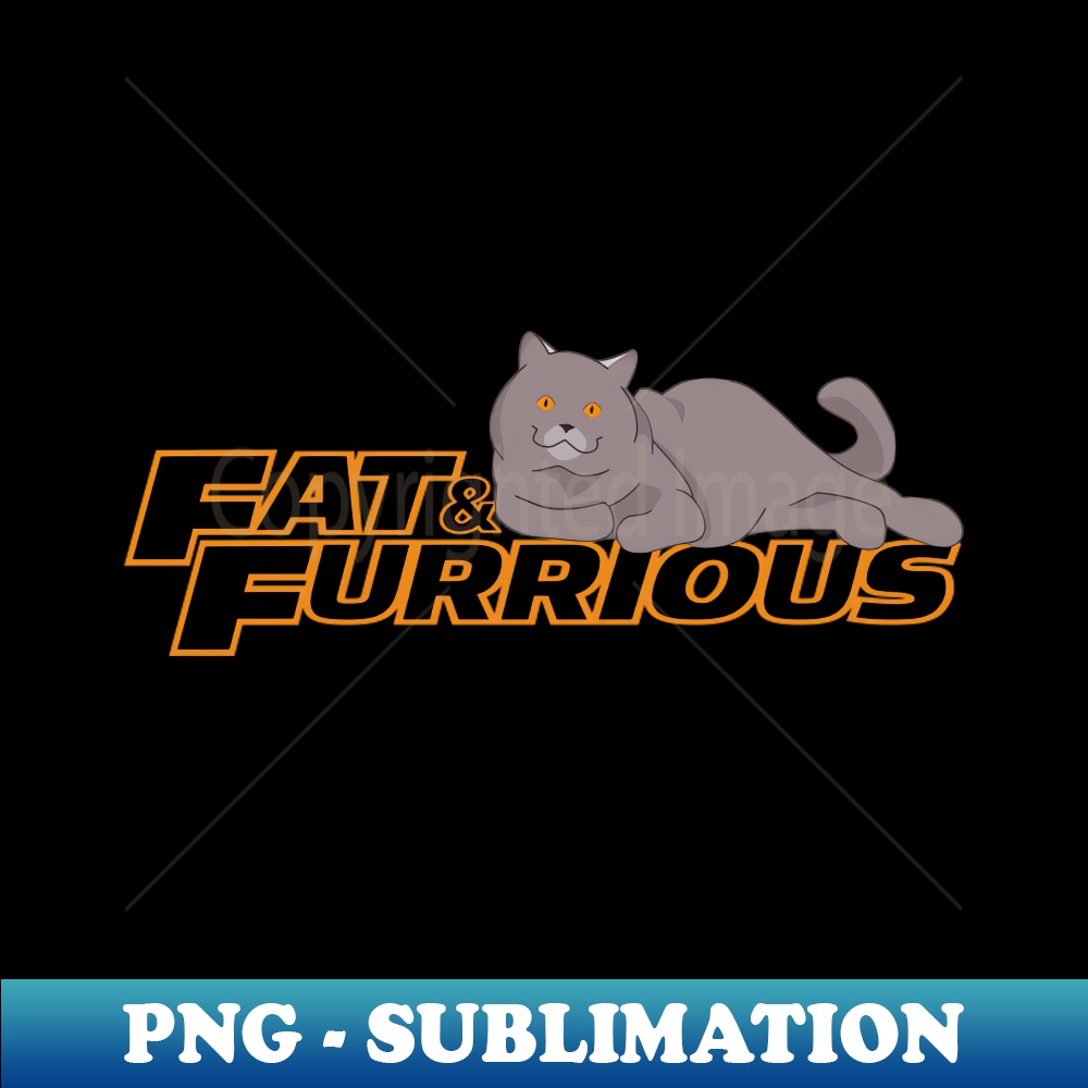 Grey British shorthair cat - Fat and Furrious - Modern Subli - Inspire ...