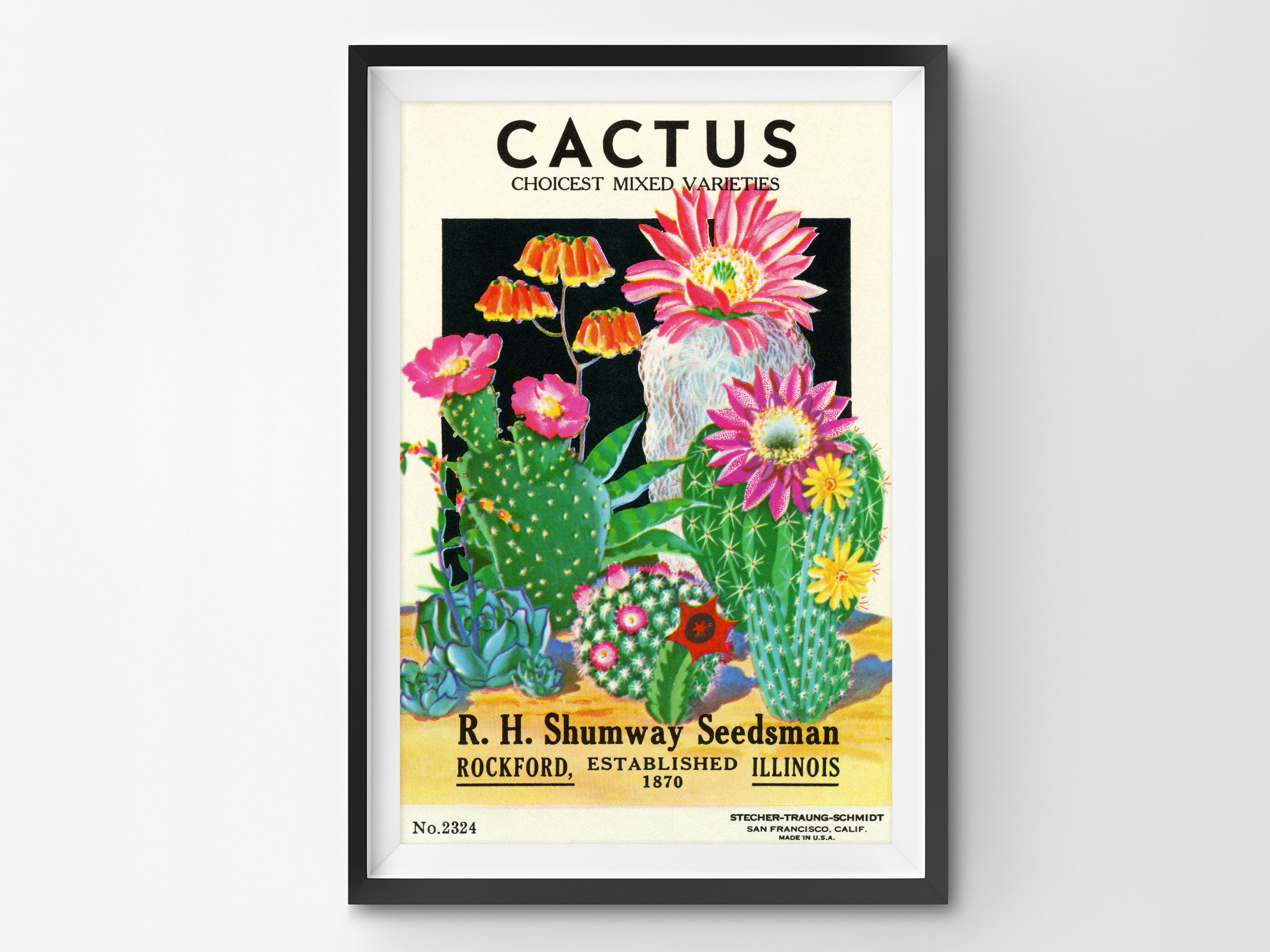 Cactus Vintage Seed Packet POSTER! (up to 24 x 36) - Southwe | Inspire ...
