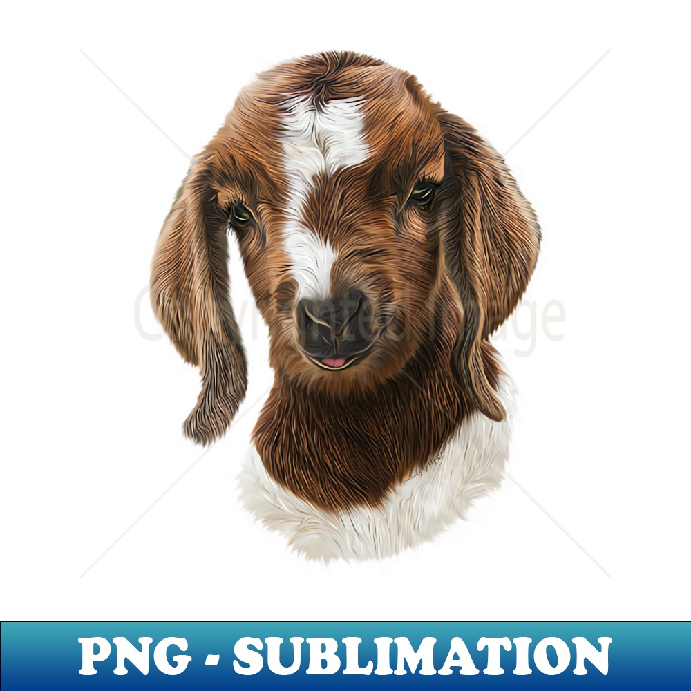 Portrait of a Goat - Boer Goat Baby Nicklaus - Premium Subl | Inspire ...
