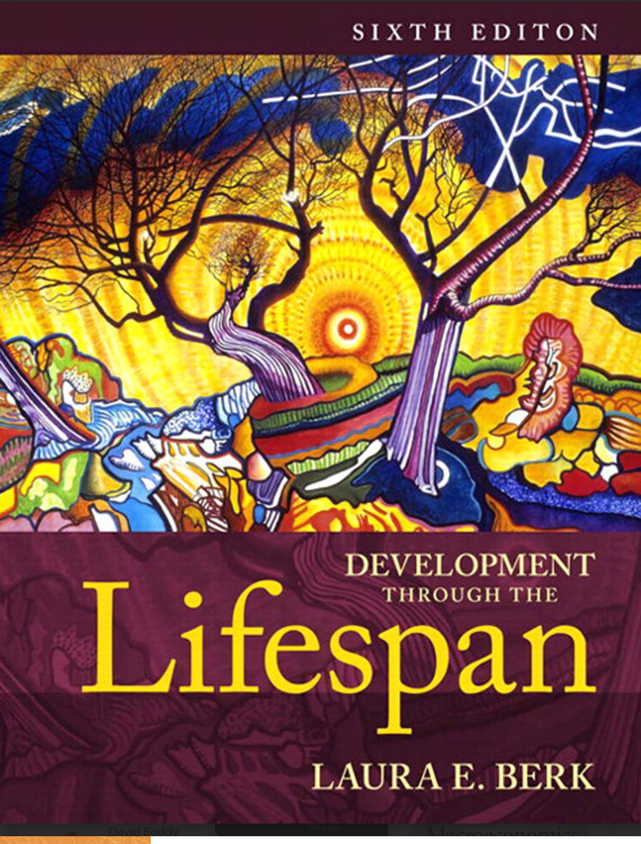 Development Through the Lifespan 6th Edition | Inspire Uplift