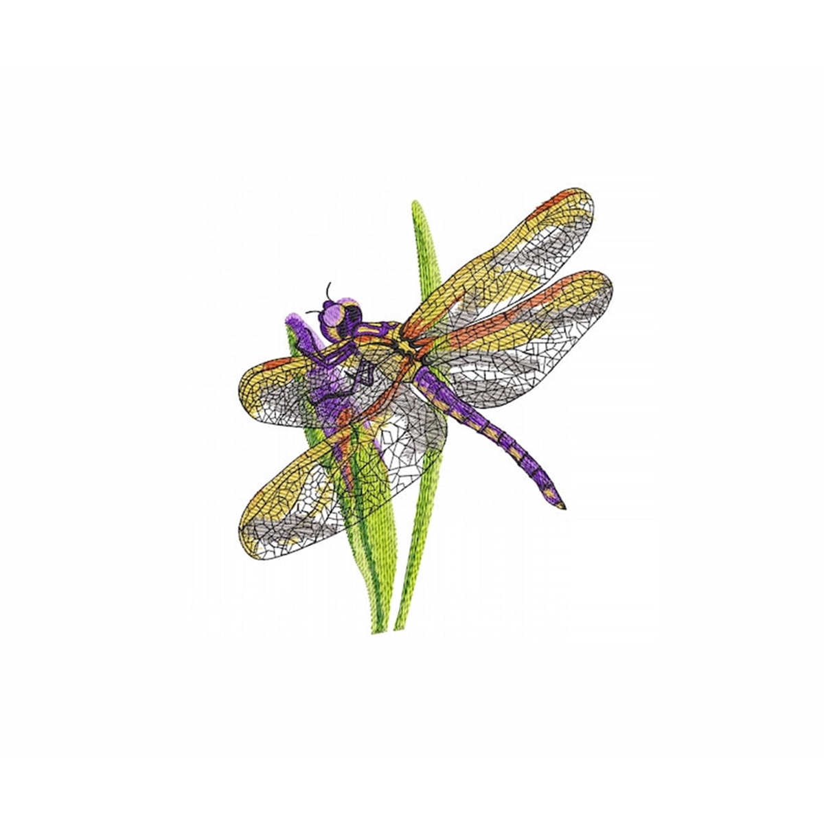 Insect Embroidery | Inspire Uplift
