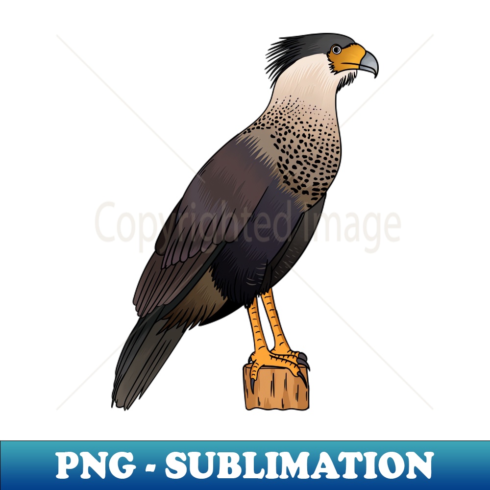 Crested caracara bird cartoon illustration - Retro PNG Subli | Inspire ...