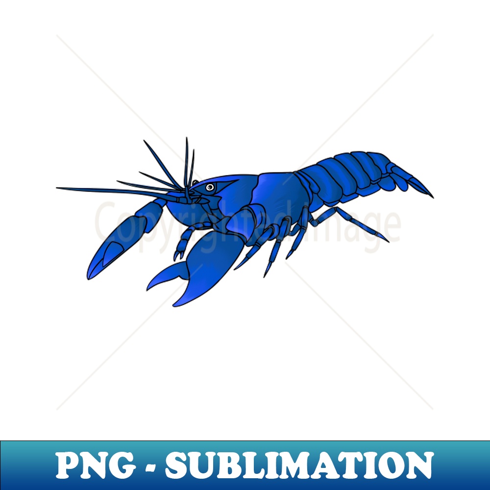 Blue marron crayfish cartoon illustration - Artistic Sublima | Inspire ...