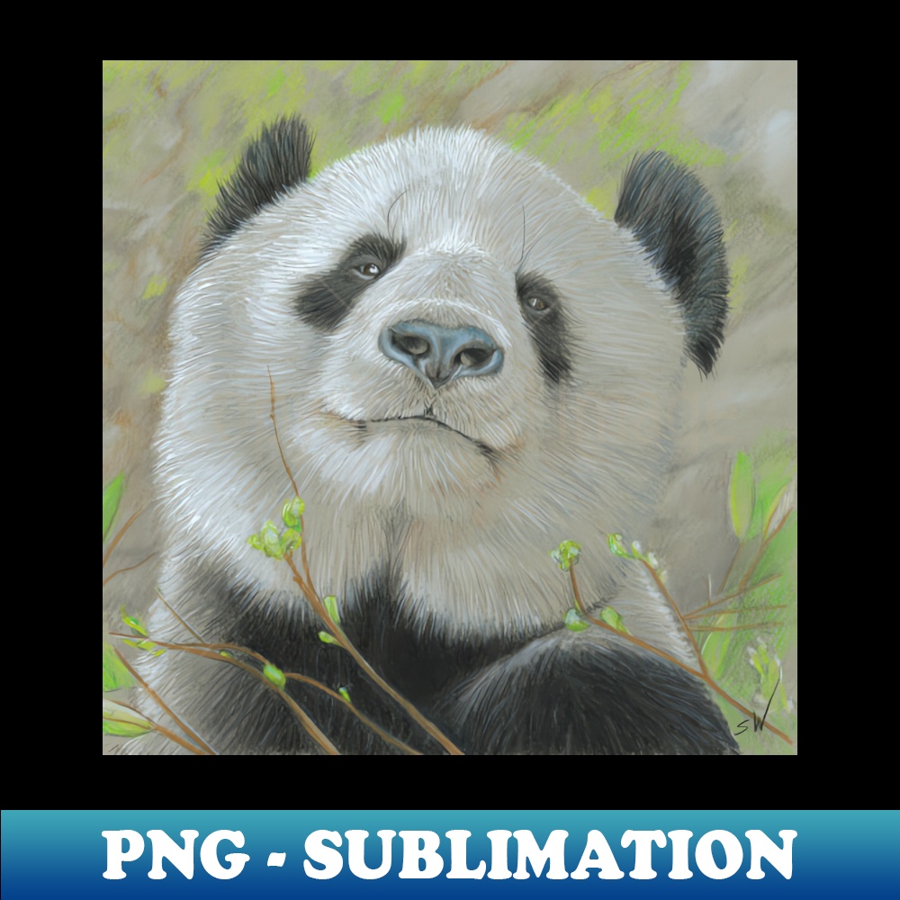 Panda Colured Pencil Drawing - PNG Transparent Sublimation D - Inspire ...
