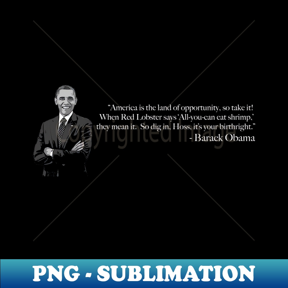 Barack Obama Quote - America is the land of opportunity - Tr | Inspire ...