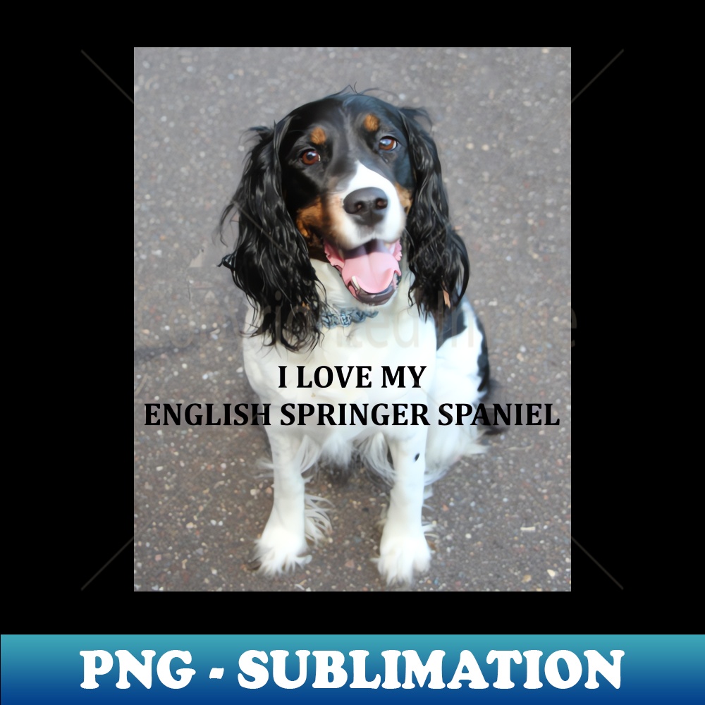 english springer spaniel black white tan love with picture - | Inspire ...