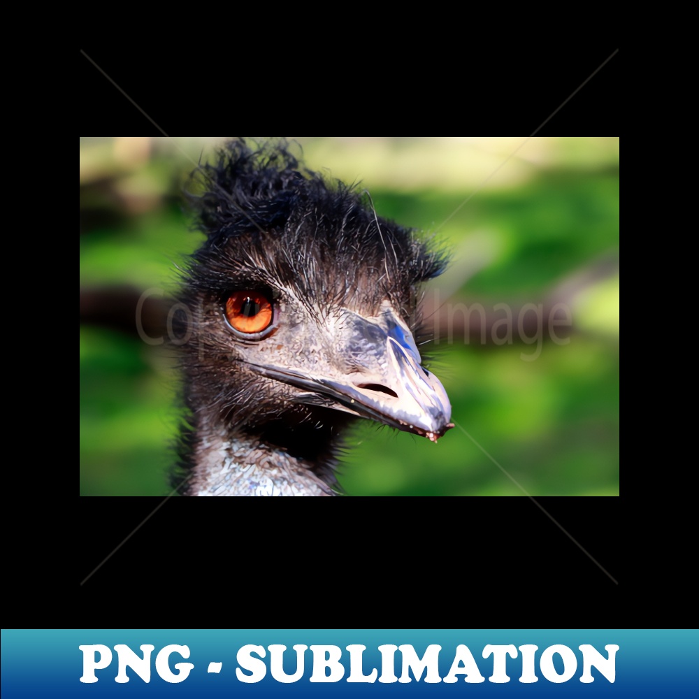 Curious Emu - PNG Transparent Sublimation File - Enhance You | Inspire ...