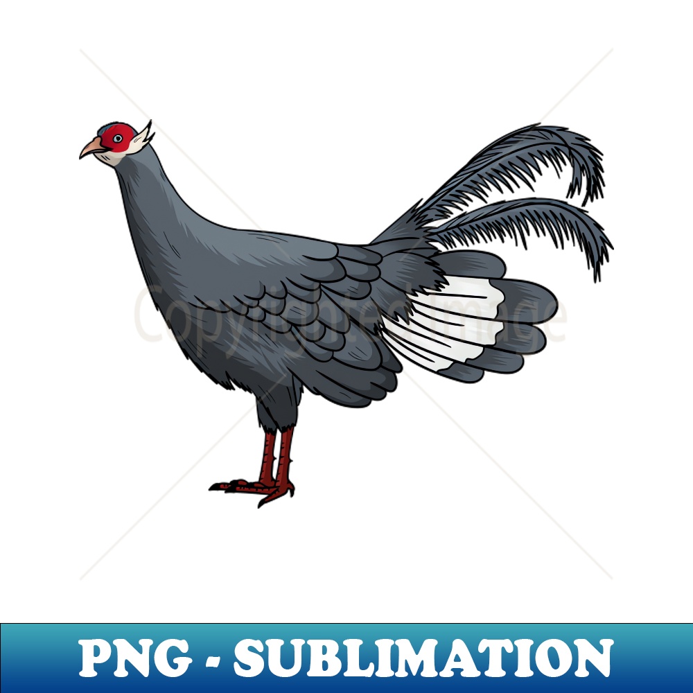 Blue eared pheasant bird cartoon illustration - Exclusive Su | Inspire ...