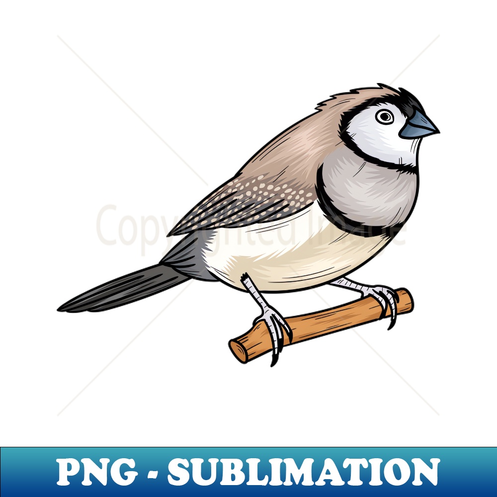 Double-barred finch bird cartoon illustration - Digital Subl | Inspire ...