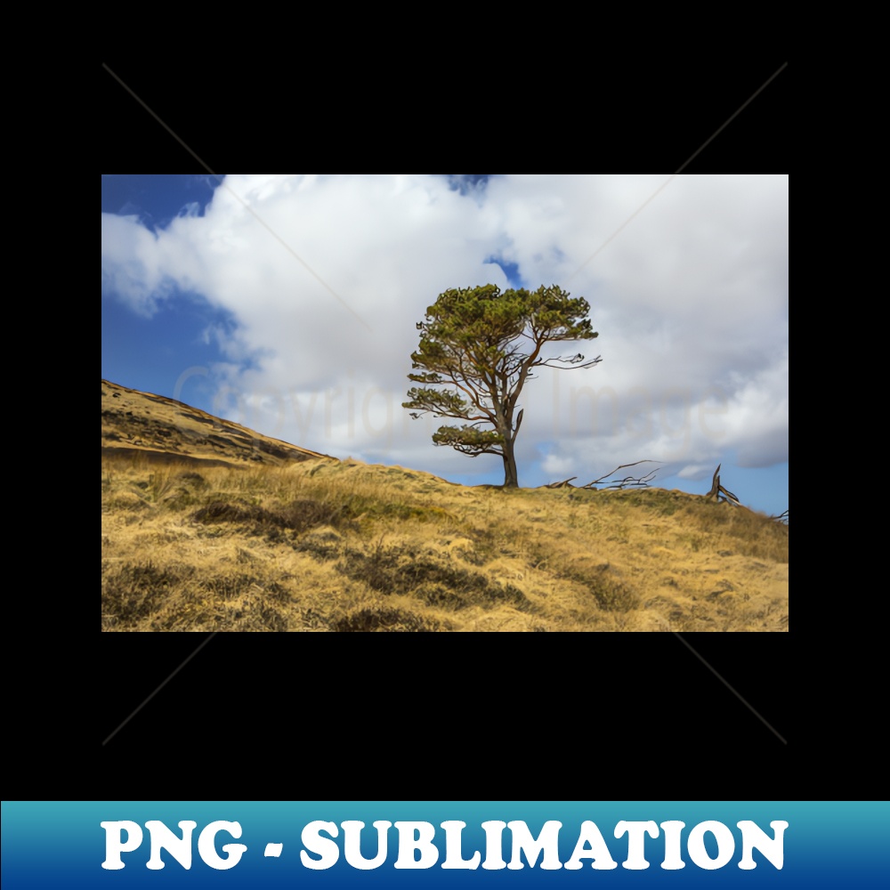 Highland Tree - PNG Transparent Sublimation File - Defying t | Inspire ...