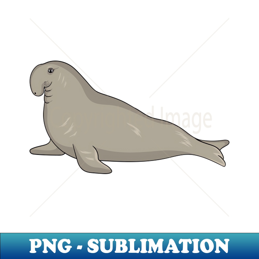 Elephant seal cartoon illustration - Signature Sublimation P | Inspire ...