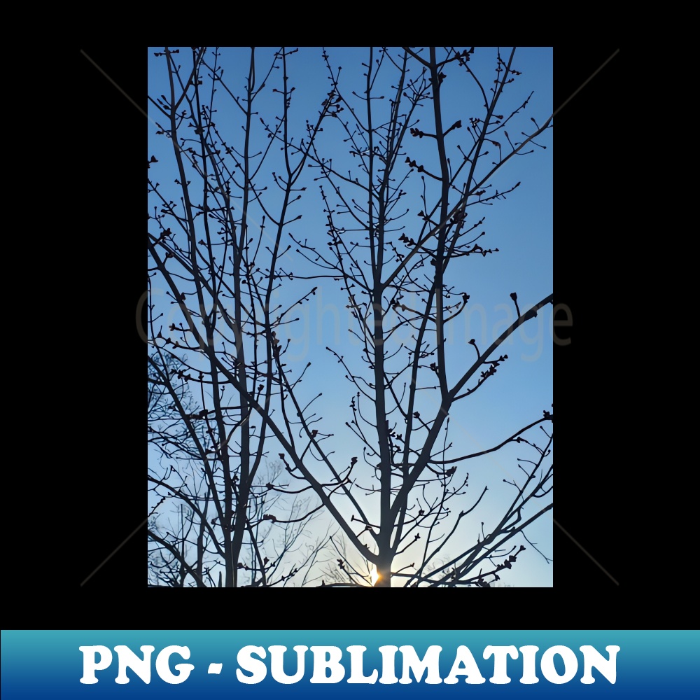 Red Maple Buds - Vintage Sublimation PNG Download - Perfect | Inspire ...