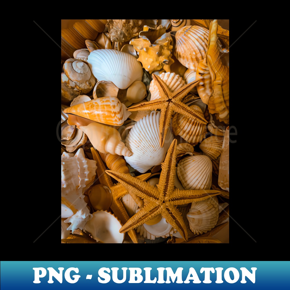 Relax Yoga Seashells Meditation Summer Beach - Special Editi | Inspire Uplift