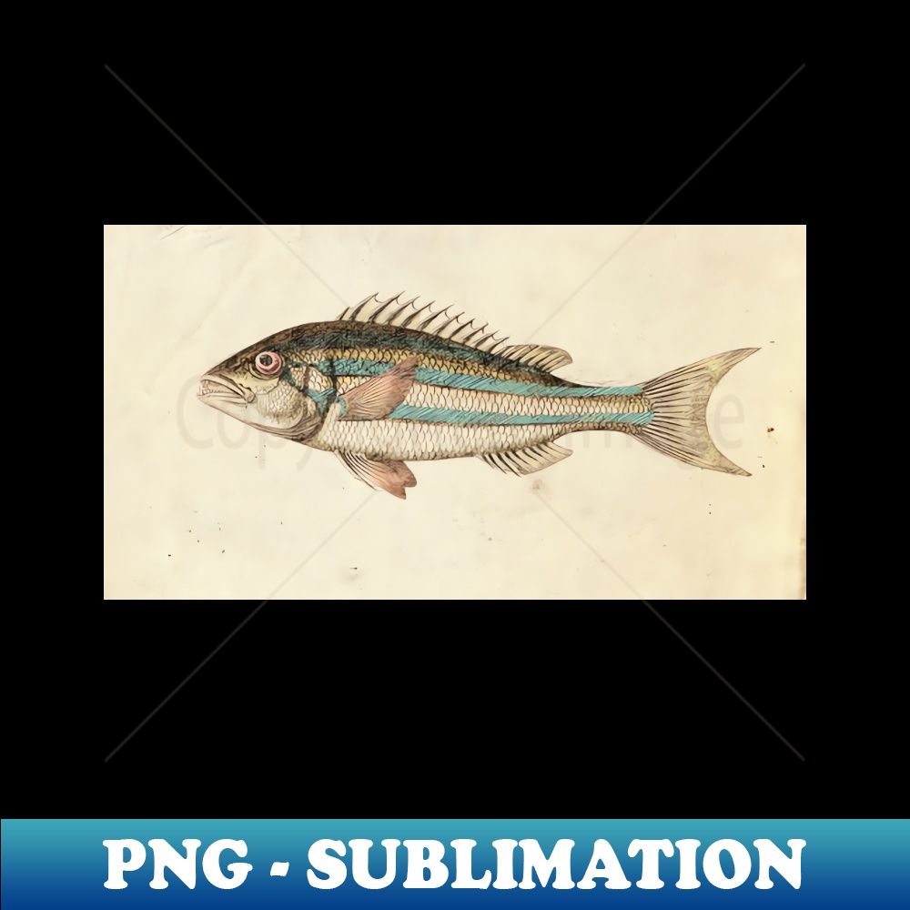 Fish sketch - Retro PNG Sublimation Digital Download - Perfe | Inspire Uplift