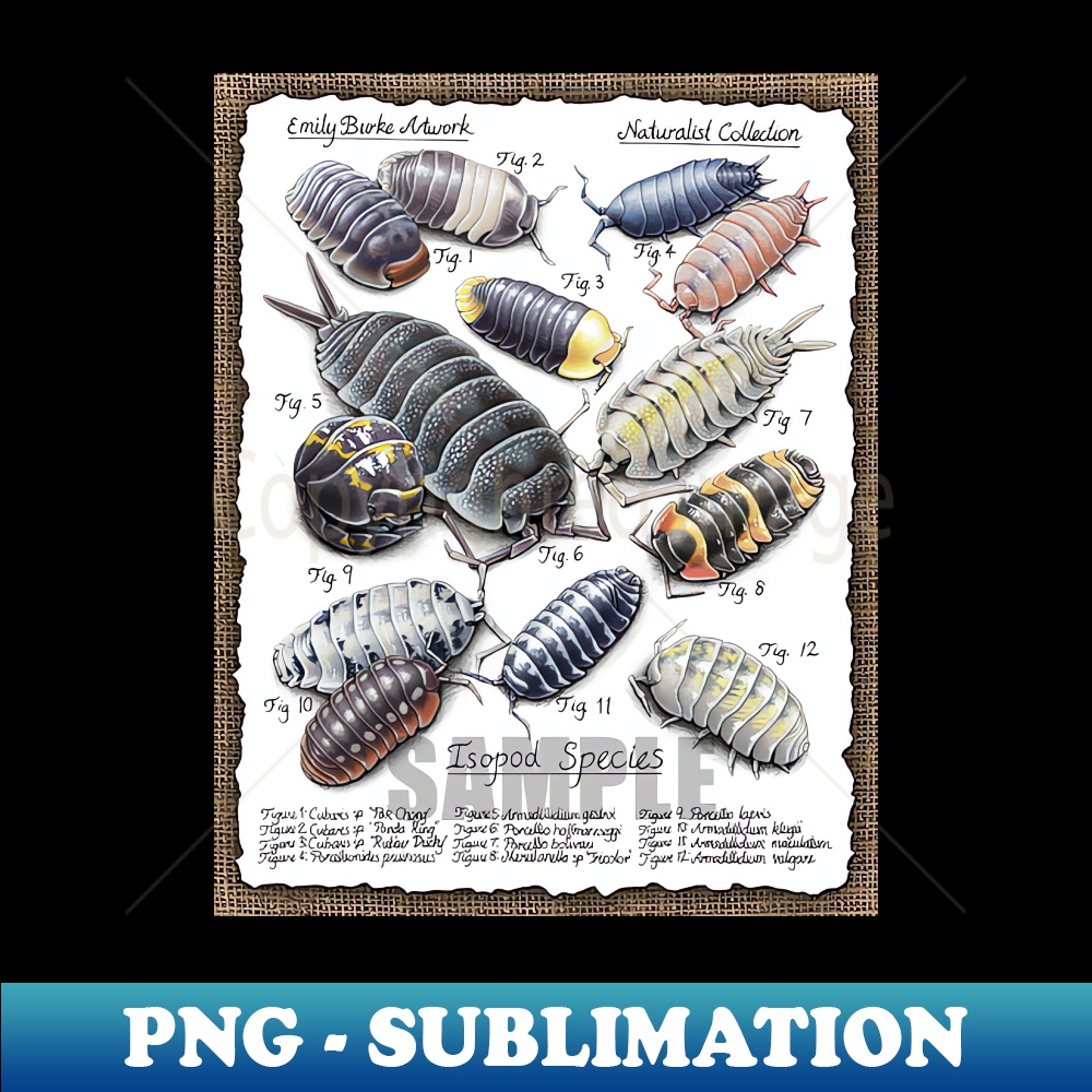 Sample Dairy Cow Isopod - PNG Transparent Sublimation File - - Inspire Uplift