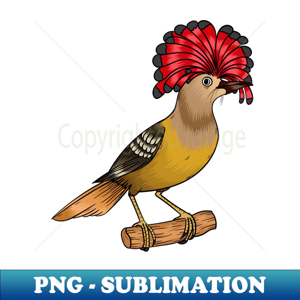 Royal flycatcher bird cartoon illustration - PNG Transparent - Inspire ...