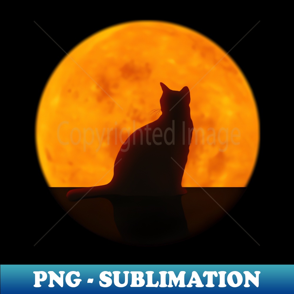 Cat under moon light - Instant PNG Sublimation Download - Pe | Inspire ...