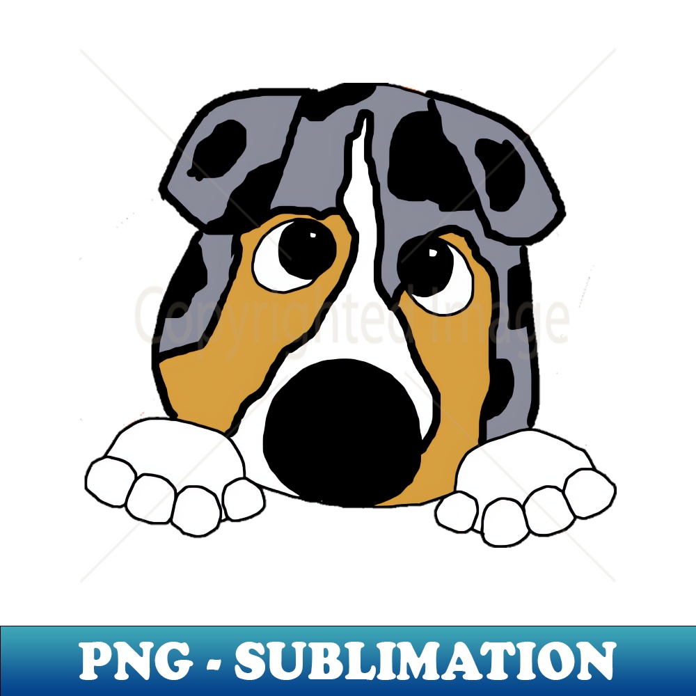 miniature american shepherd blue merle peeking cartoon - Pro - Inspire ...