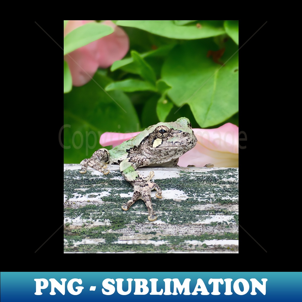 Grey Tree Frog Hangin - PNG Transparent Sublimation Design - - Inspire ...