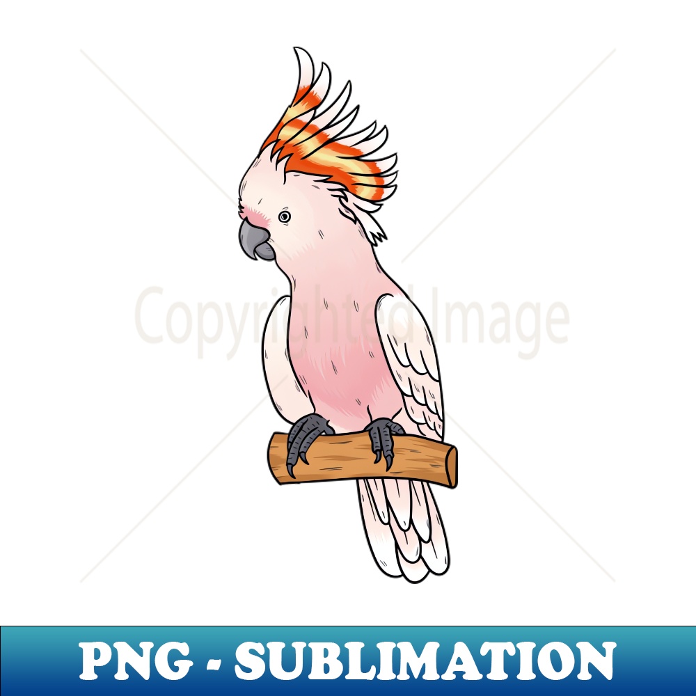Major mitchell cockatoo bird cartoon illustration - PNG Tran - Inspire ...
