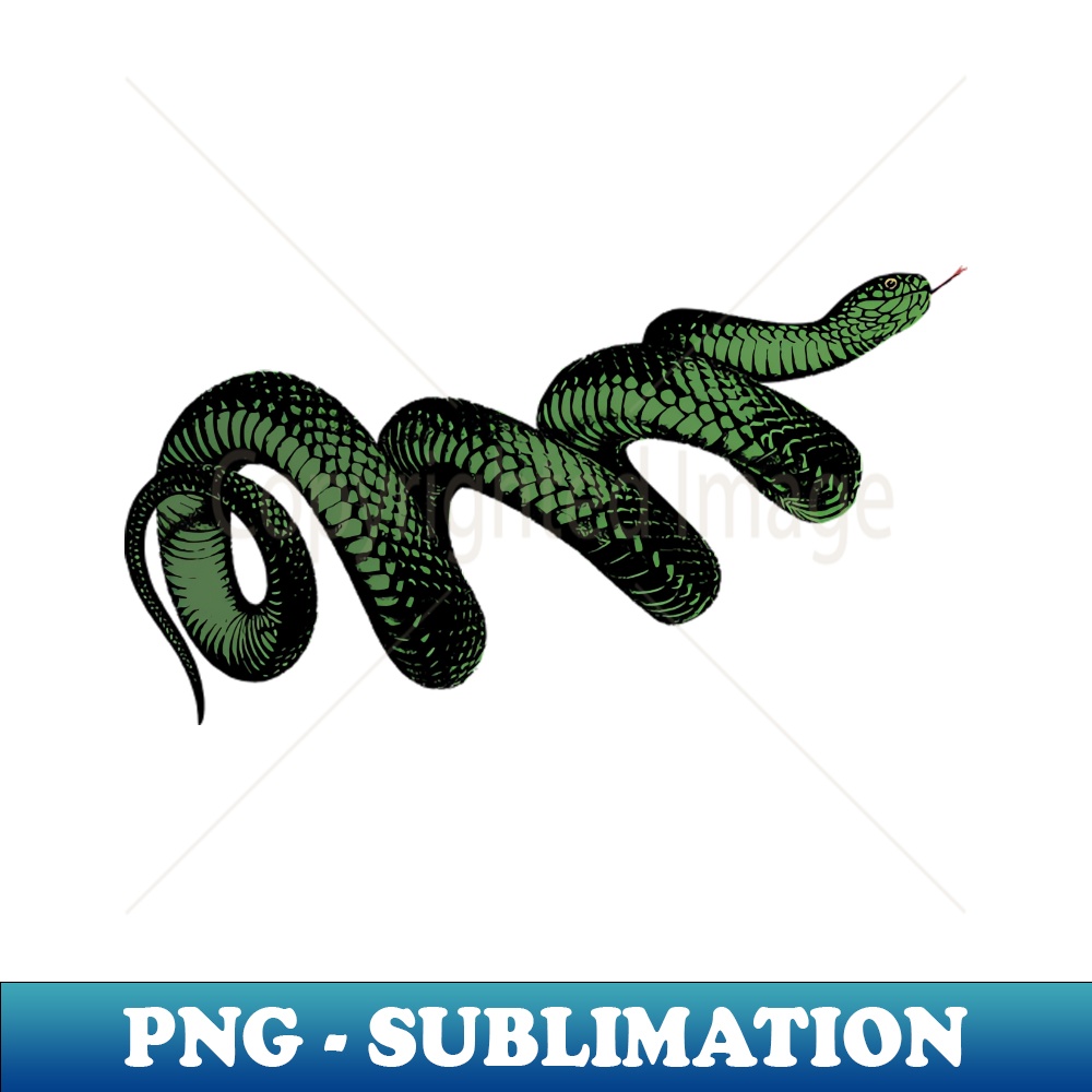 Coiled Snake - Aesthetic Sublimation Digital File - Fashiona | Inspire ...