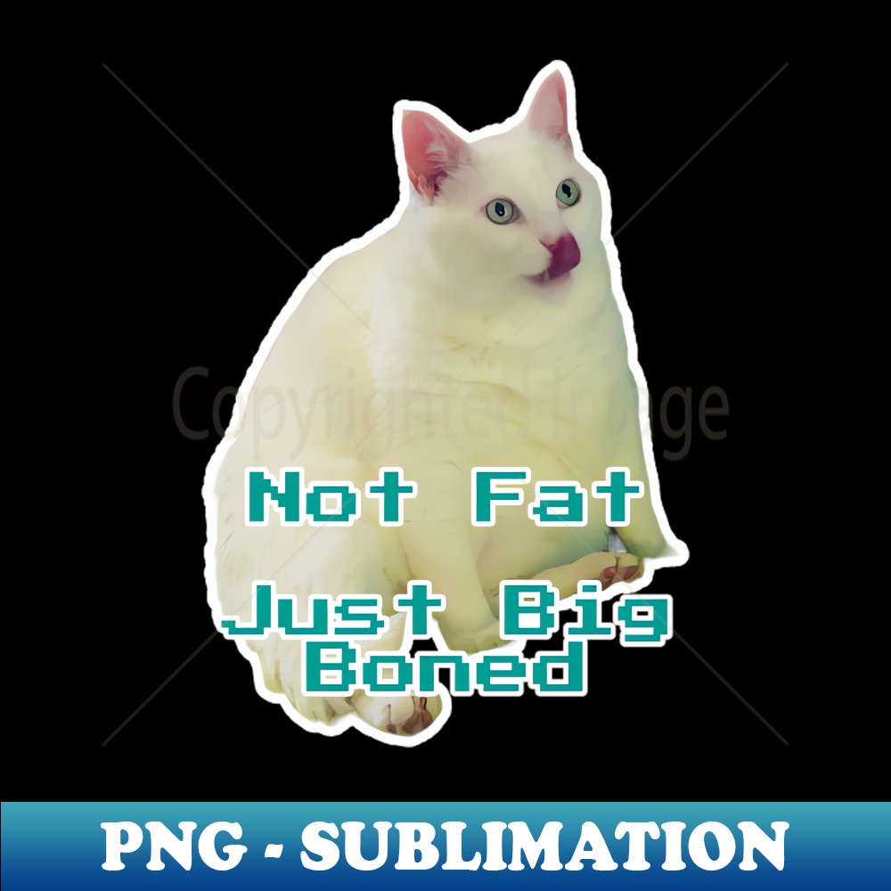 Funny fat cat funny cat fat cat kitty white cat big cat meme | Inspire ...