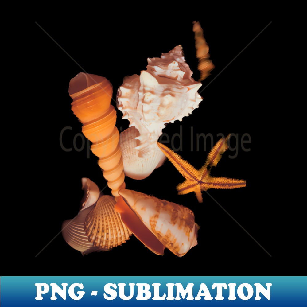 Summer Beach Sand Seashells Holidays - PNG Transparent Subli | Inspire ...