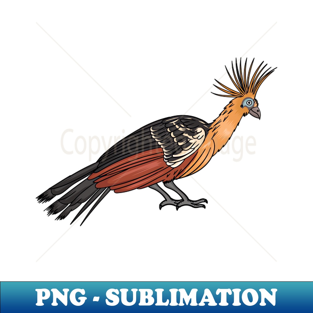 Hoatzin bird cartoon illustration - High-Quality PNG Sublima | Inspire ...
