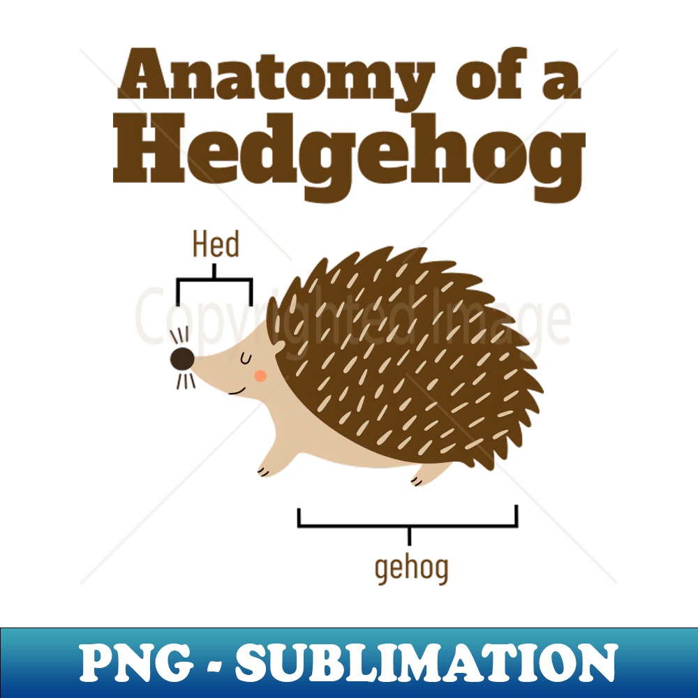 Anatomy Of A Hedgehog - Creative Sublimation PNG Download - | Inspire ...
