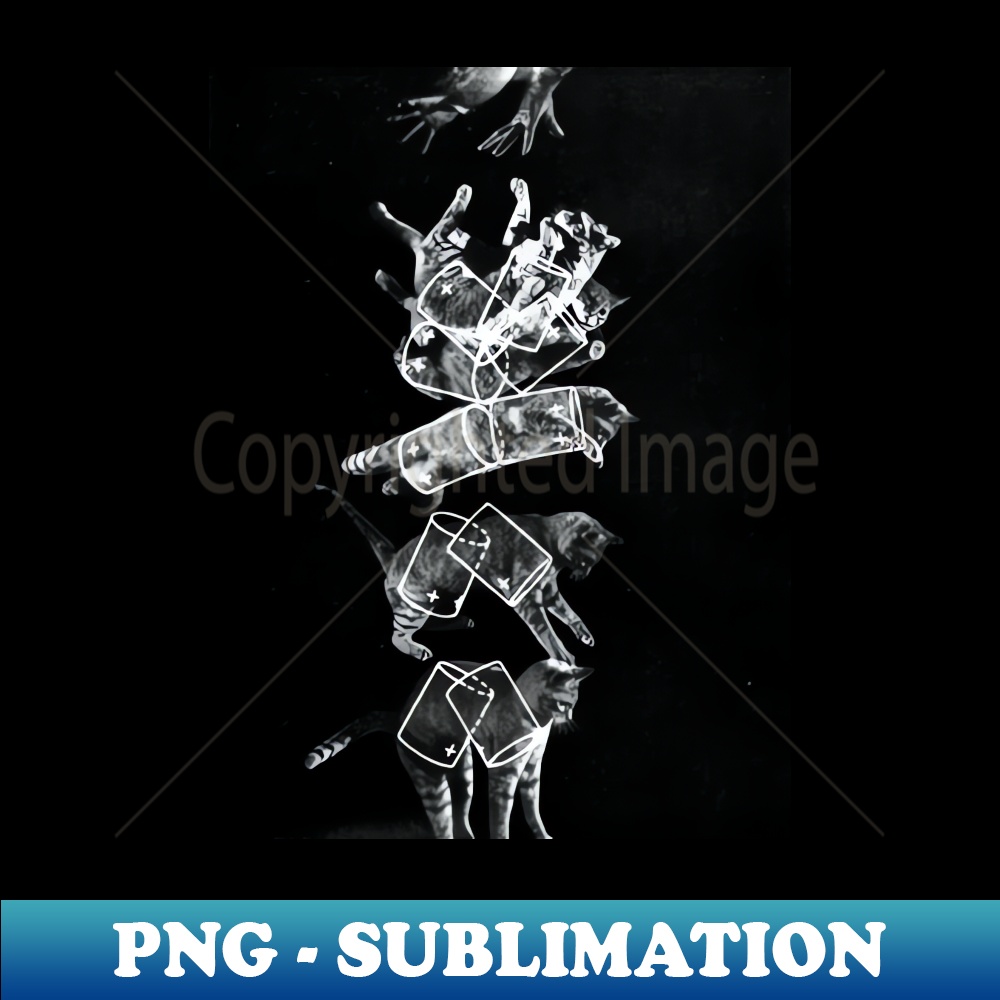 NASA Cat Drop Gravity Test - PNG Sublimation Digital Downloa | Inspire ...