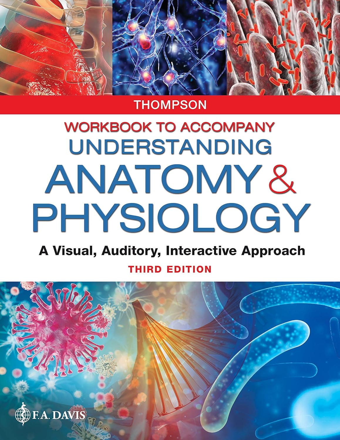 Workbook to Accompany Understanding Anatomy & Physiology: A | Inspire ...