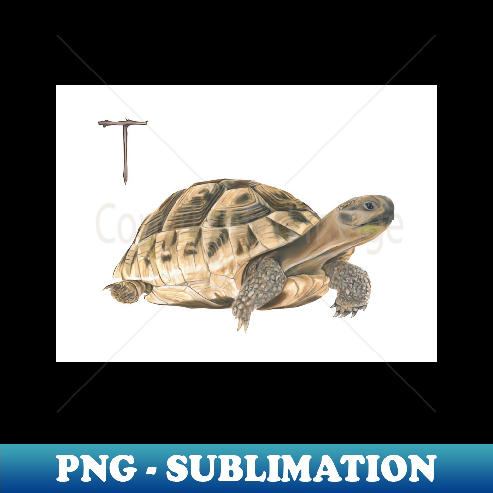 T for turtle alphabet illustration pencil illustration from - Inspire ...