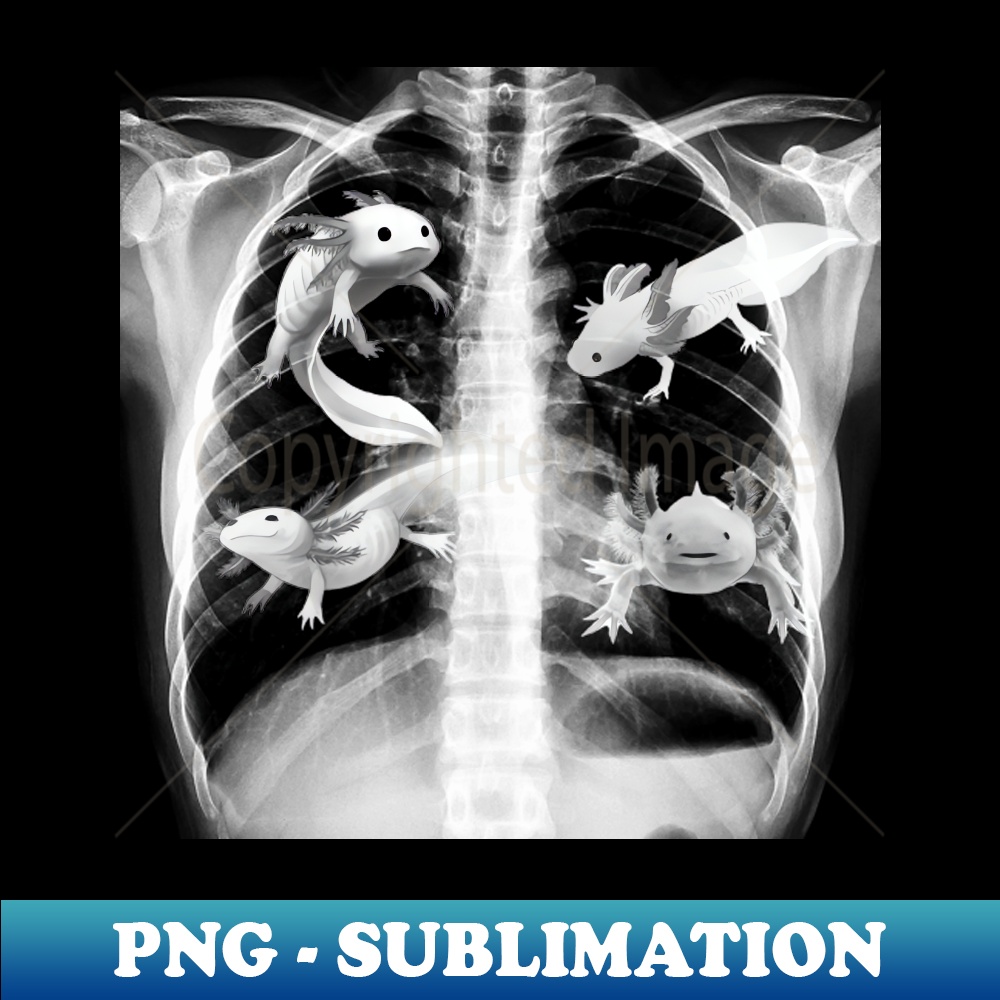 Axolotls Fish skeleton XRay Inside White-Axolotl Lizard - De - Inspire ...