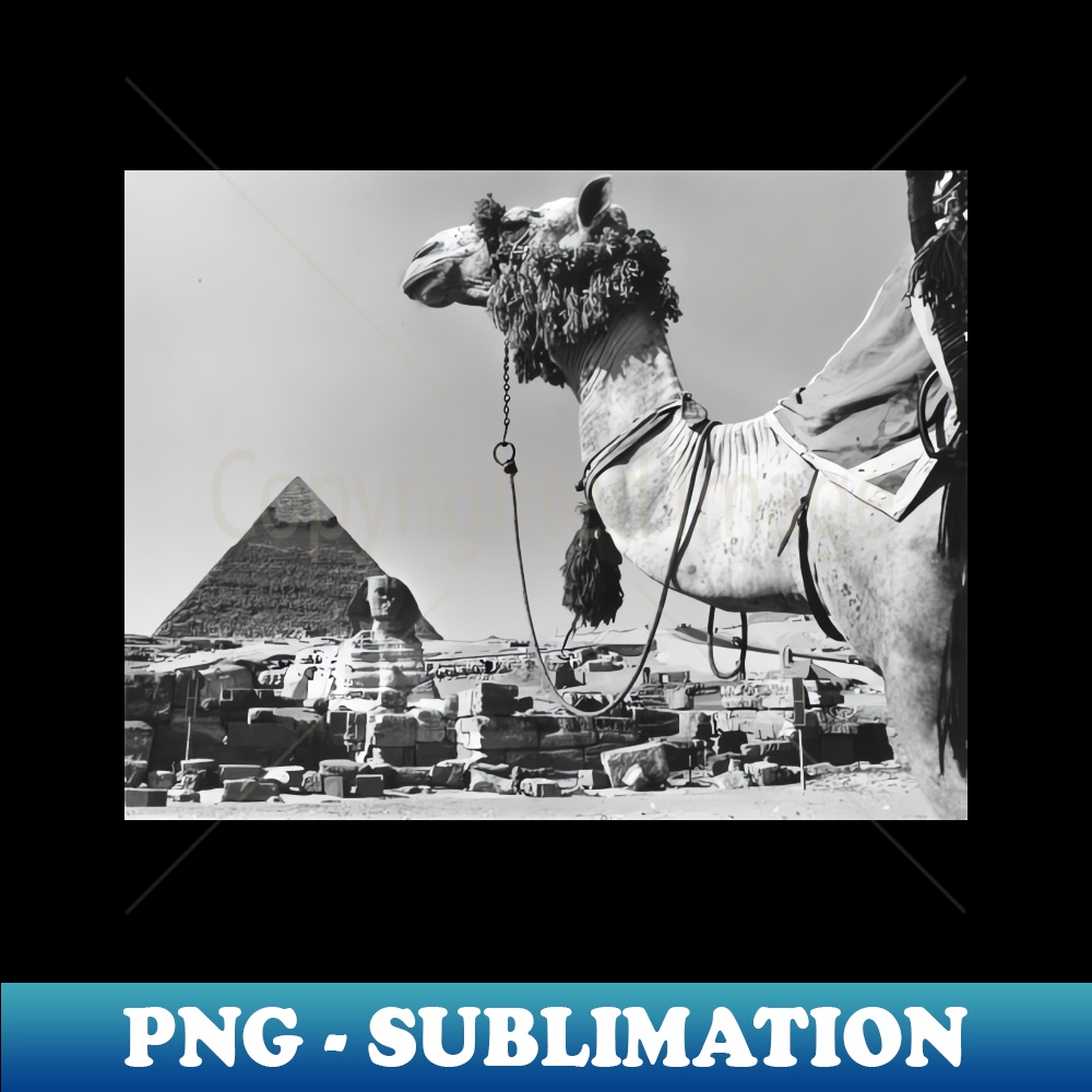Camel Sphinx and Pyramid - Sublimation-Ready PNG File - Fash | Inspire ...