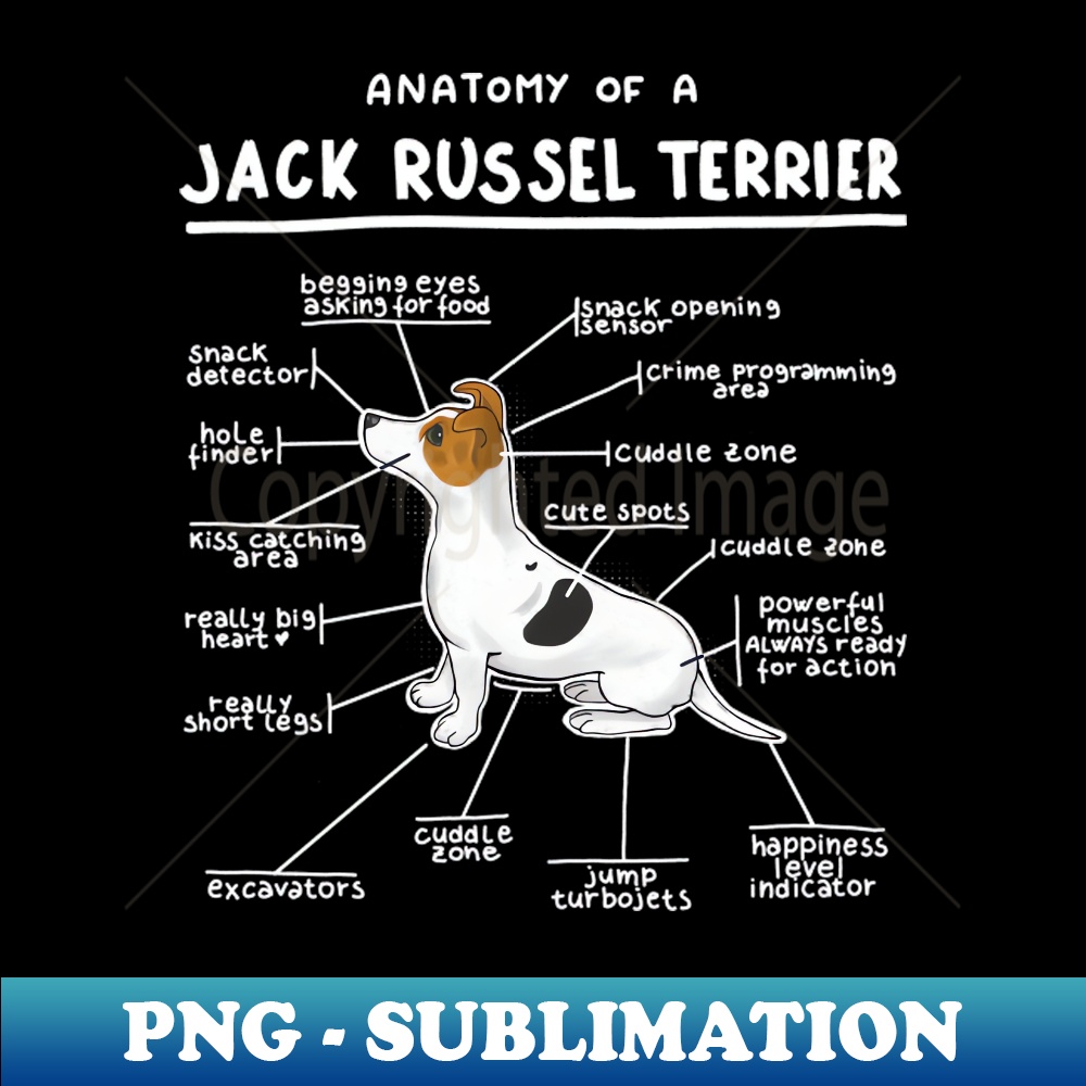 Anatomy of a Jack Russel Terrier - Digital Sublimation Downl | Inspire ...