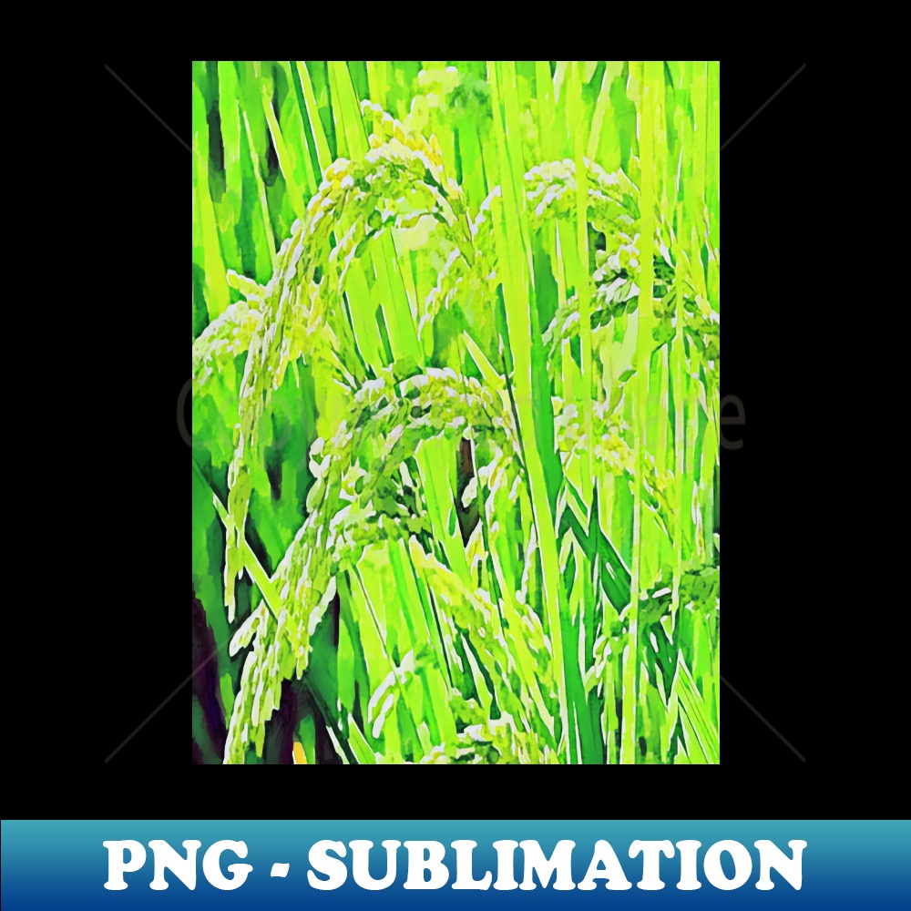 rice plant - Signature Sublimation PNG File - Spice Up Your - Inspire ...