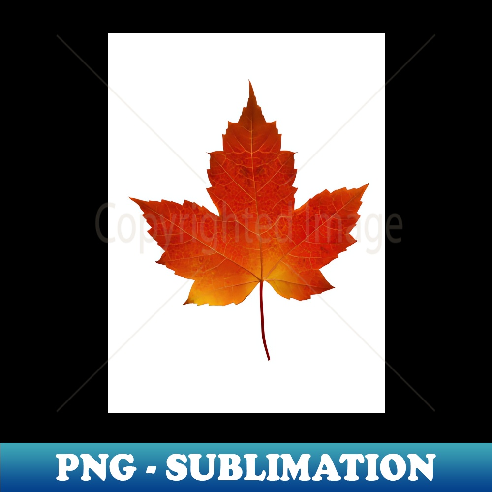 Maple Leaf - Algonquin Park Canada - PNG Transparent Sublima | Inspire ...