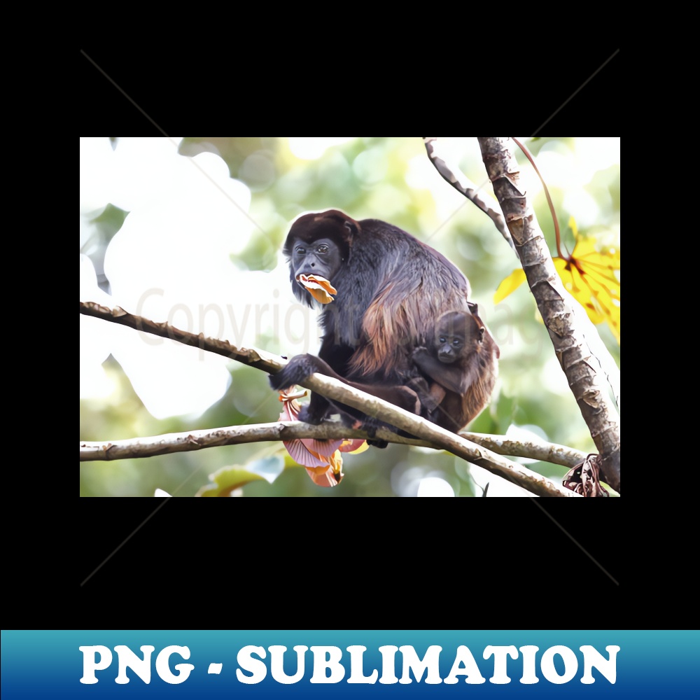 Howler monkeys - Costa Rica - Creative Sublimation PNG Downl | Inspire ...