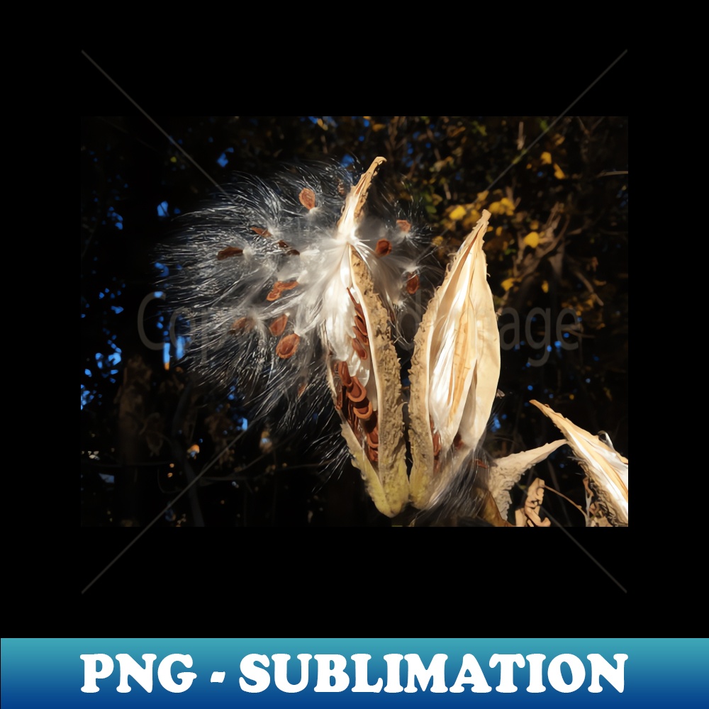 Seed pods for next year - Nature self planting - gift for na | Inspire ...